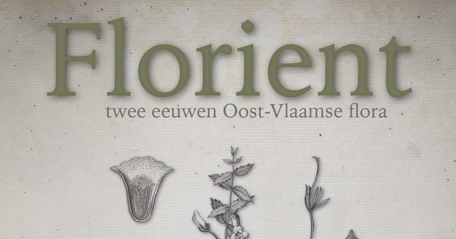 Project Florient onthult: 40% van de plantenrijkdom verdwenen