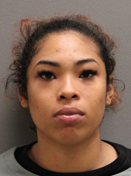 ILLINOIS STATE POLICE ARREST WOMAN FOR FATAL CRASH ON DAN RYAN EXPRESSWAY