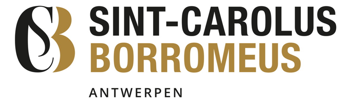 Sint-Carolus Borromeuskerk vernieuwt verder met meertalige ...