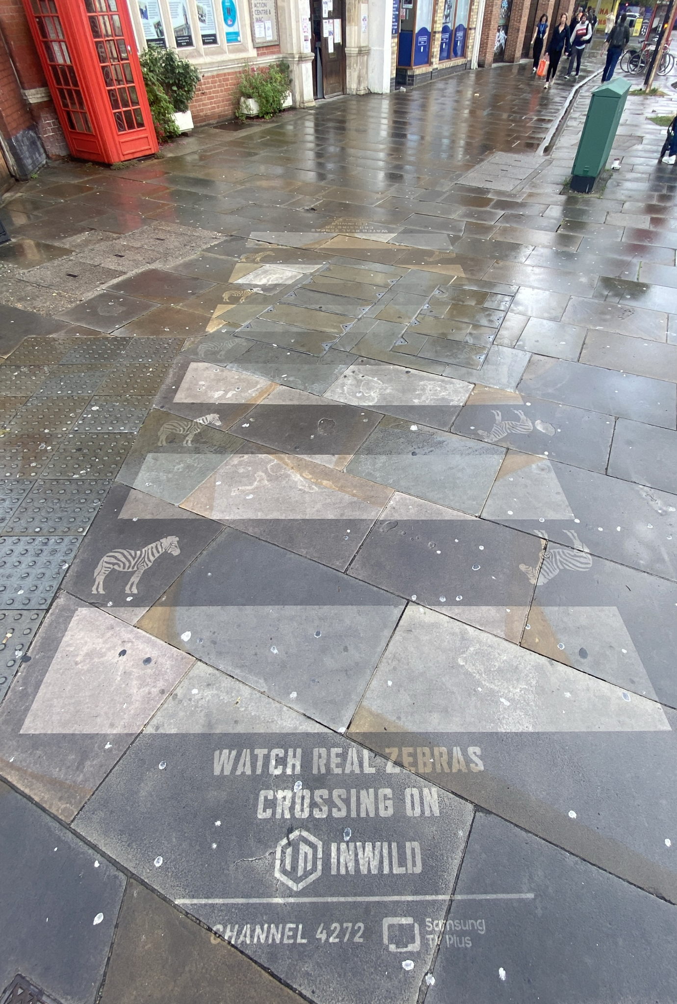 INWILD’s Creative Zebra Crossing Installation London.