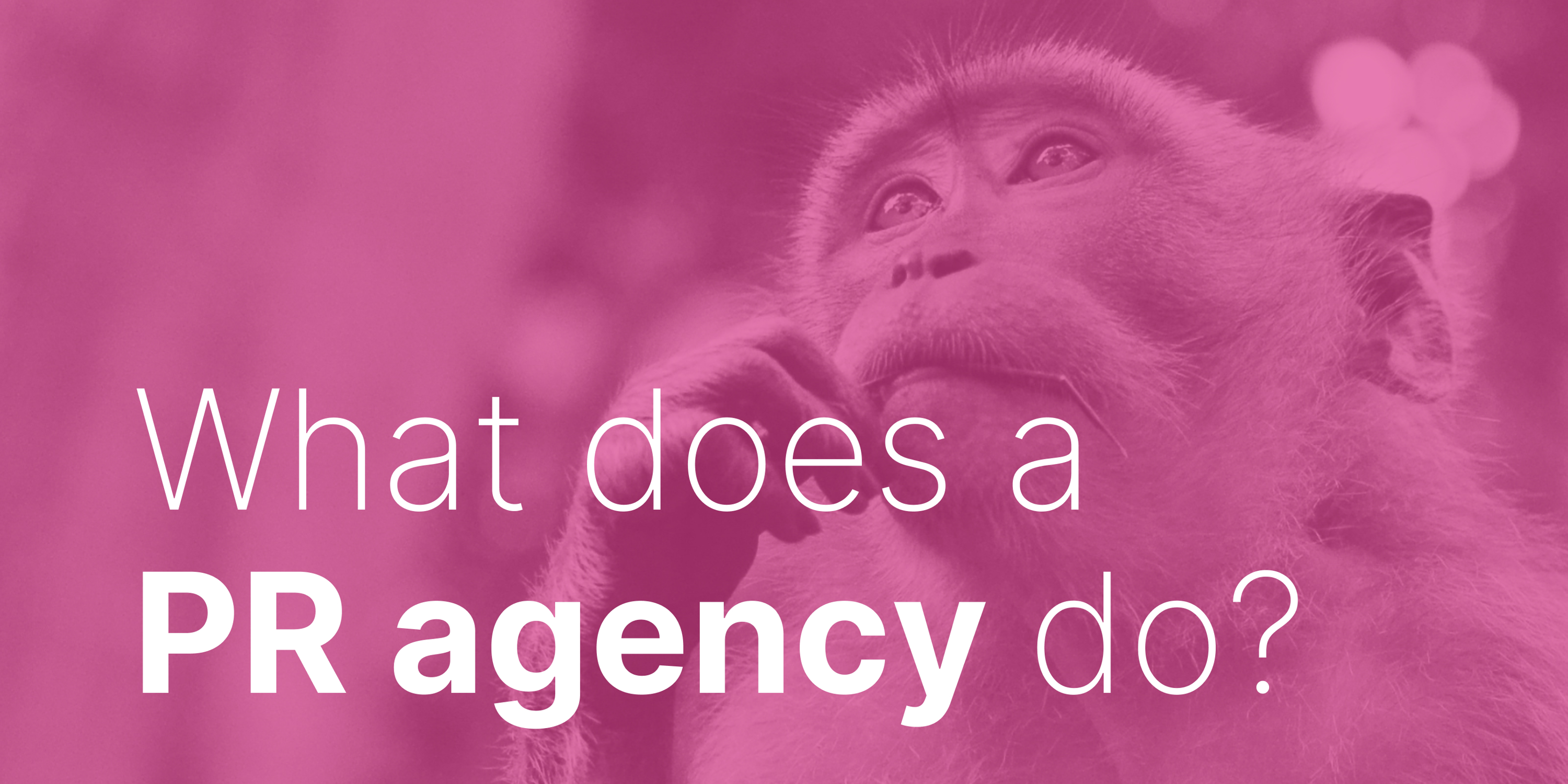 What Does a Public Relations (PR) Agency Do? Explained