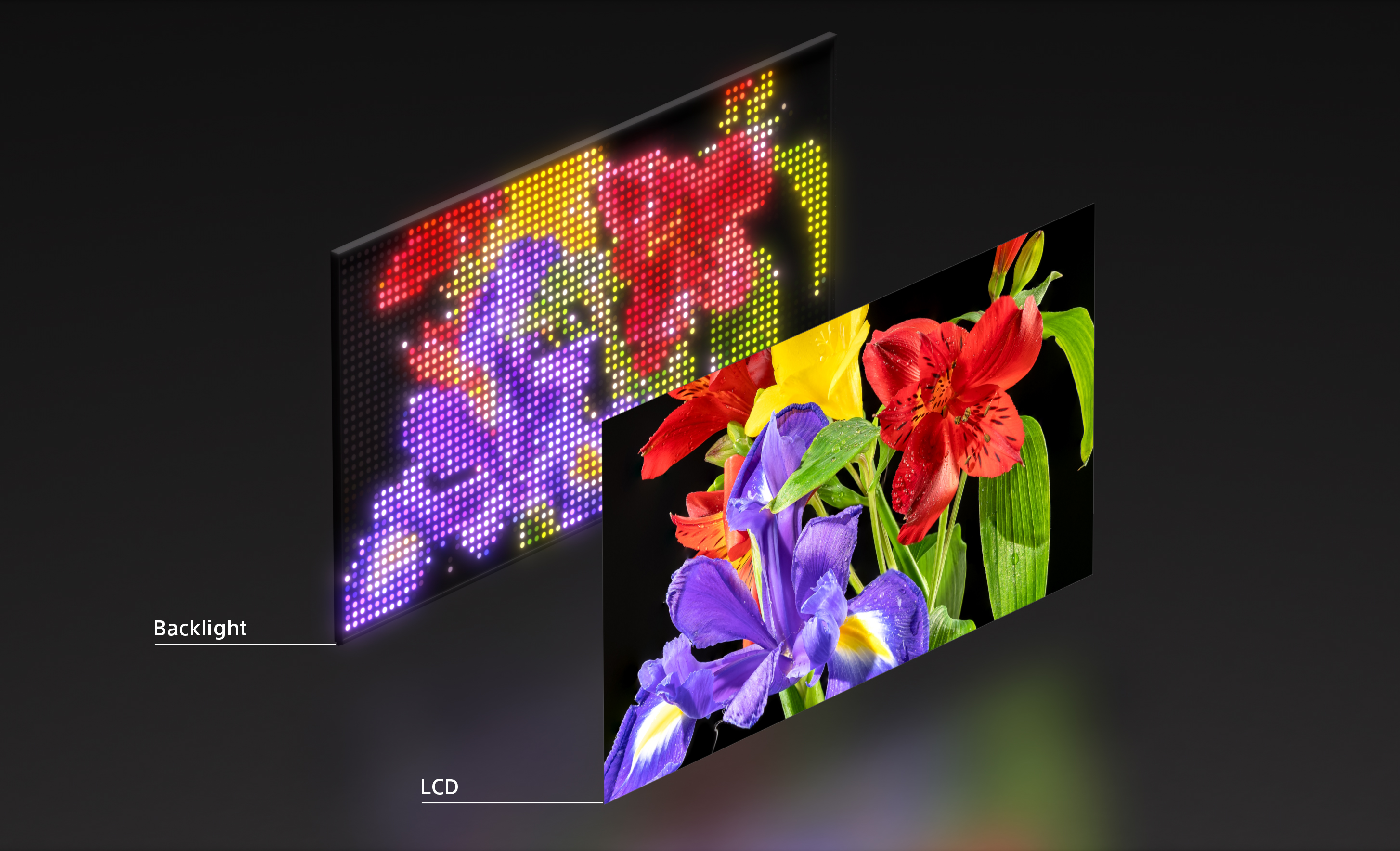 Sony develops next-generation display system with proprietary signal ...