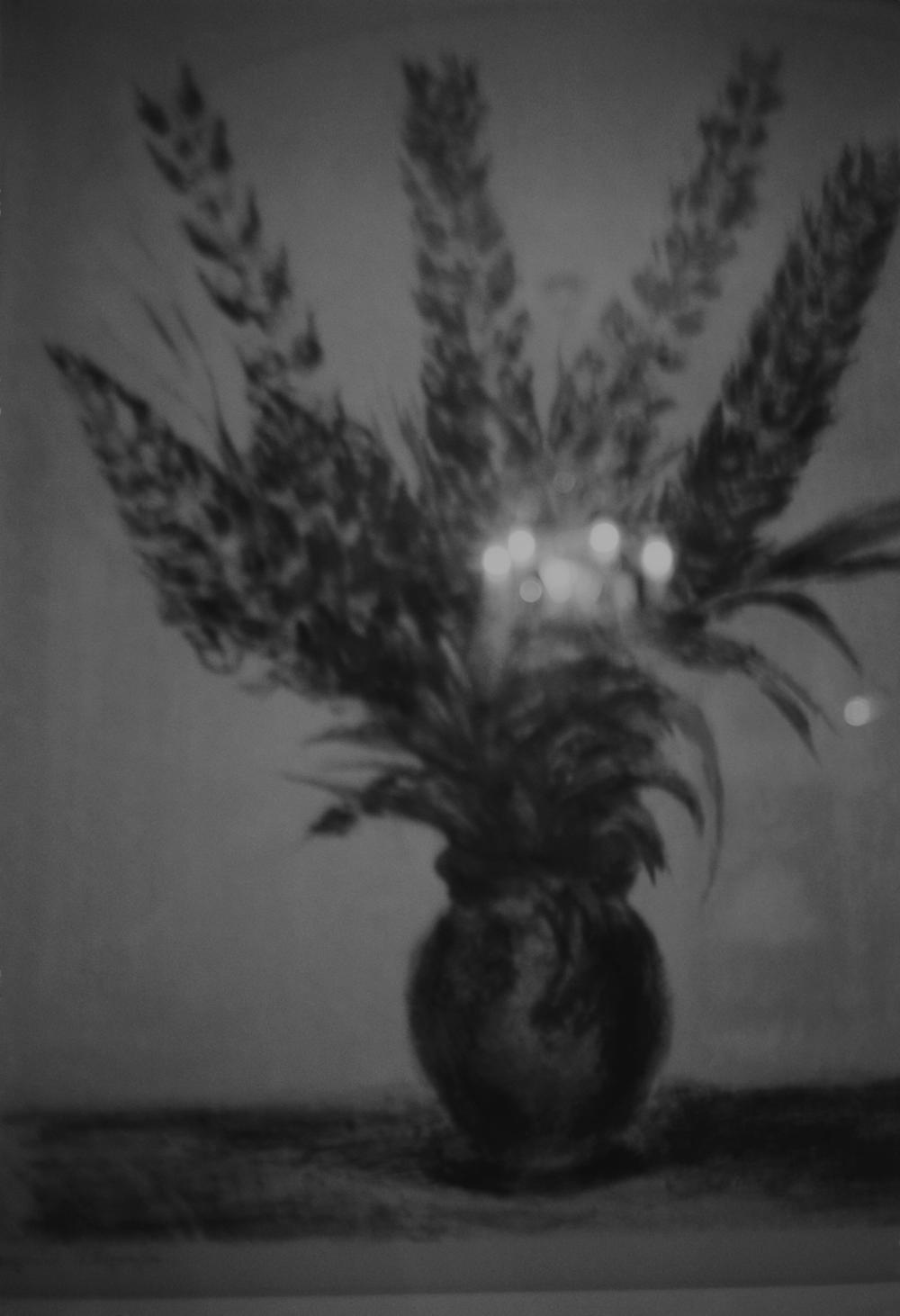 Dirk Braeckman creëert nieuw werk voor het Belgische paviljoen in Venetië