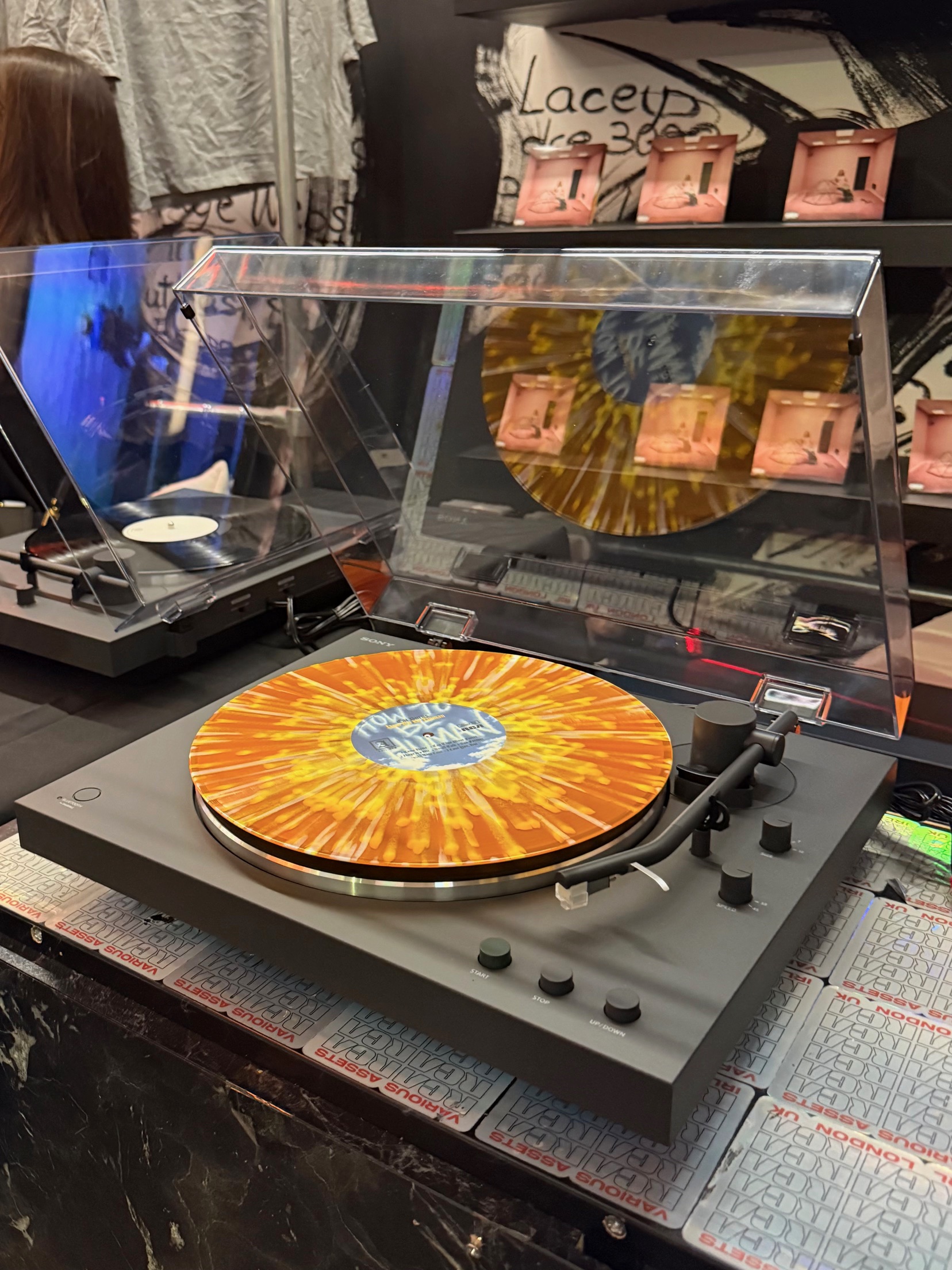 Sony Electronics joined forces with artist Charlotte Plank to celebrate ...