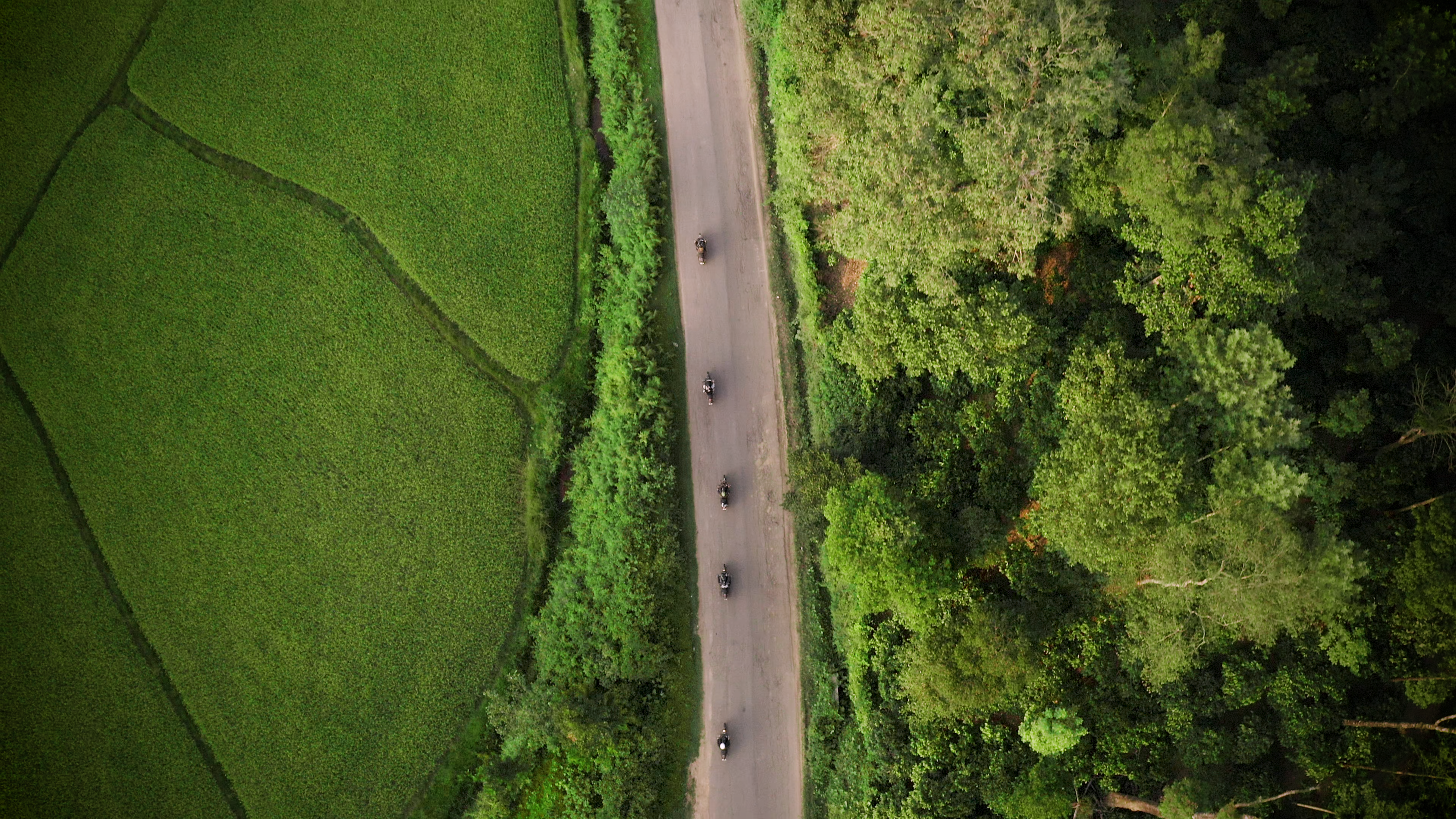 INTRAVEL launches dedicated Australian feed, expanding distribution ...