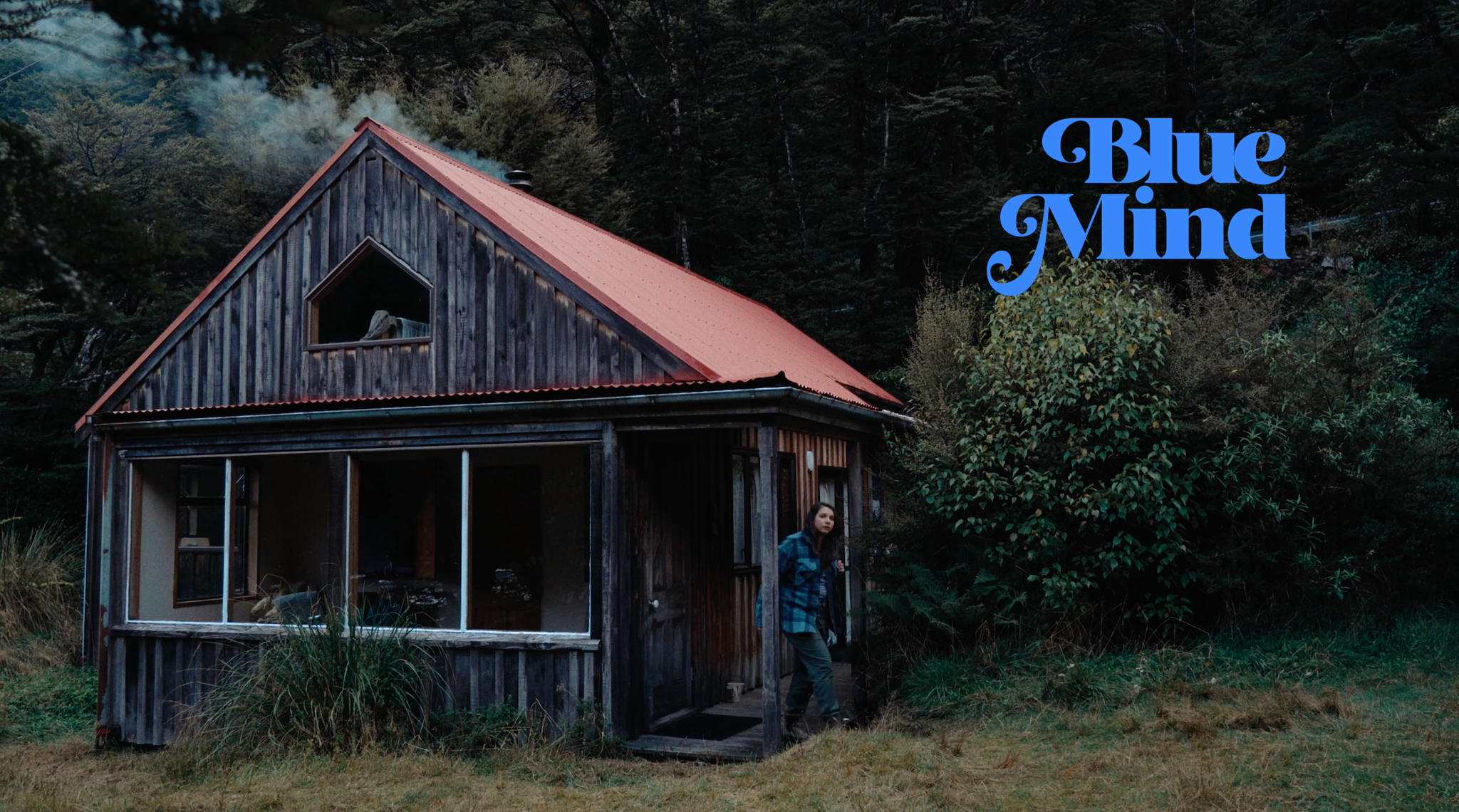 Tess Liautaud : une étoile montante de la folk americana avec son ...