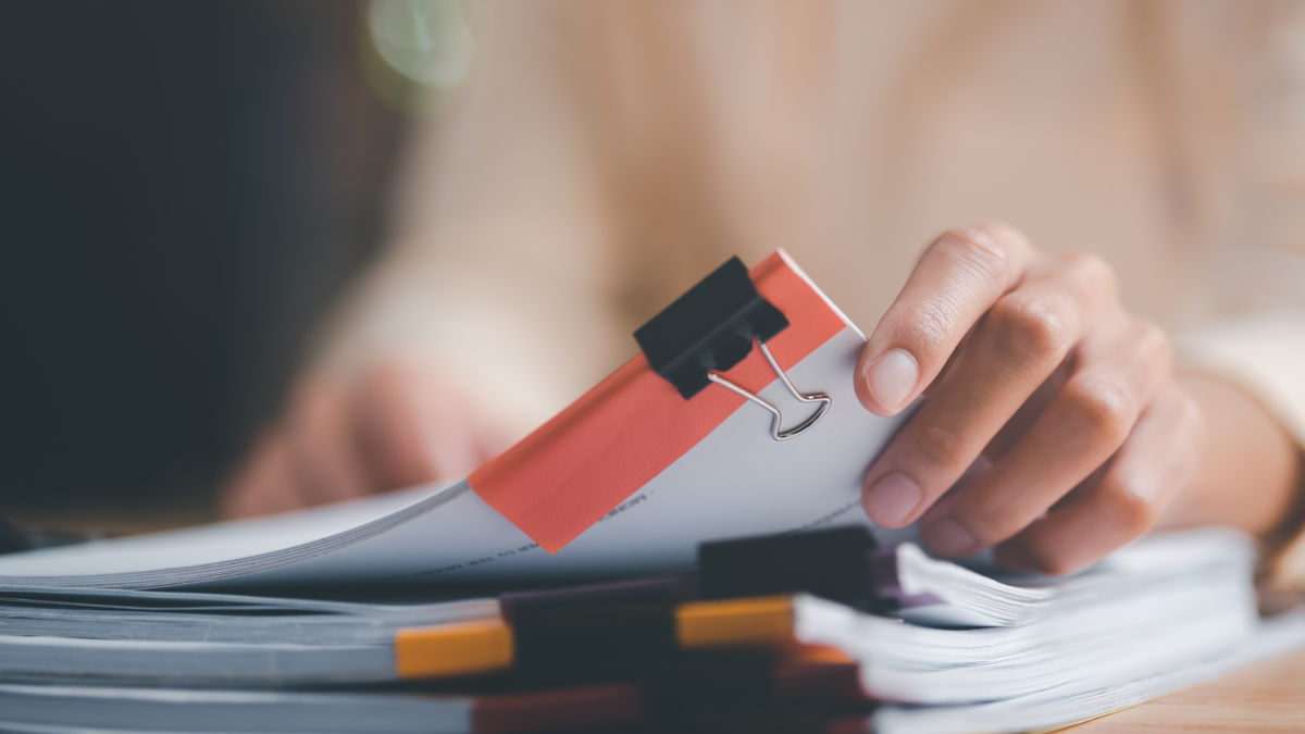 BVS Performance Solutions