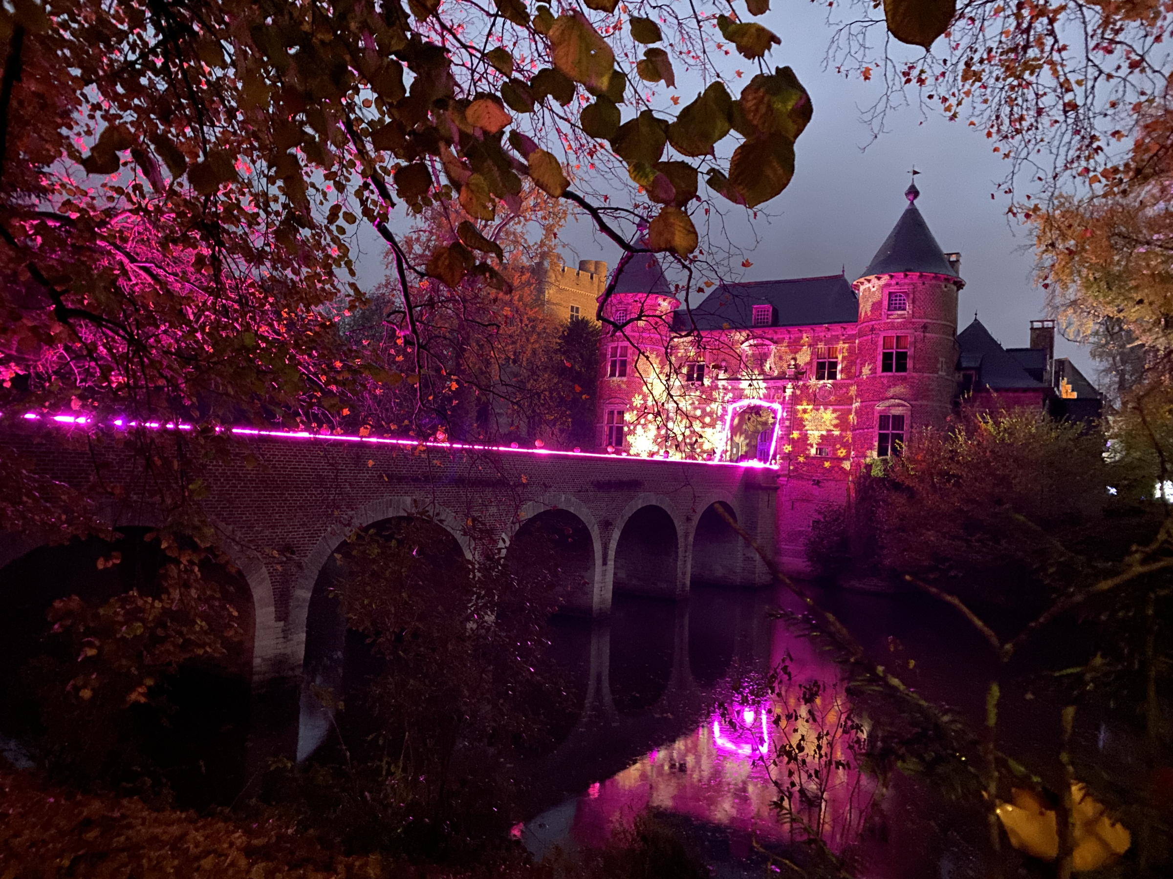 Groot-Bijgaarden castle displays flowers and lights twice a year