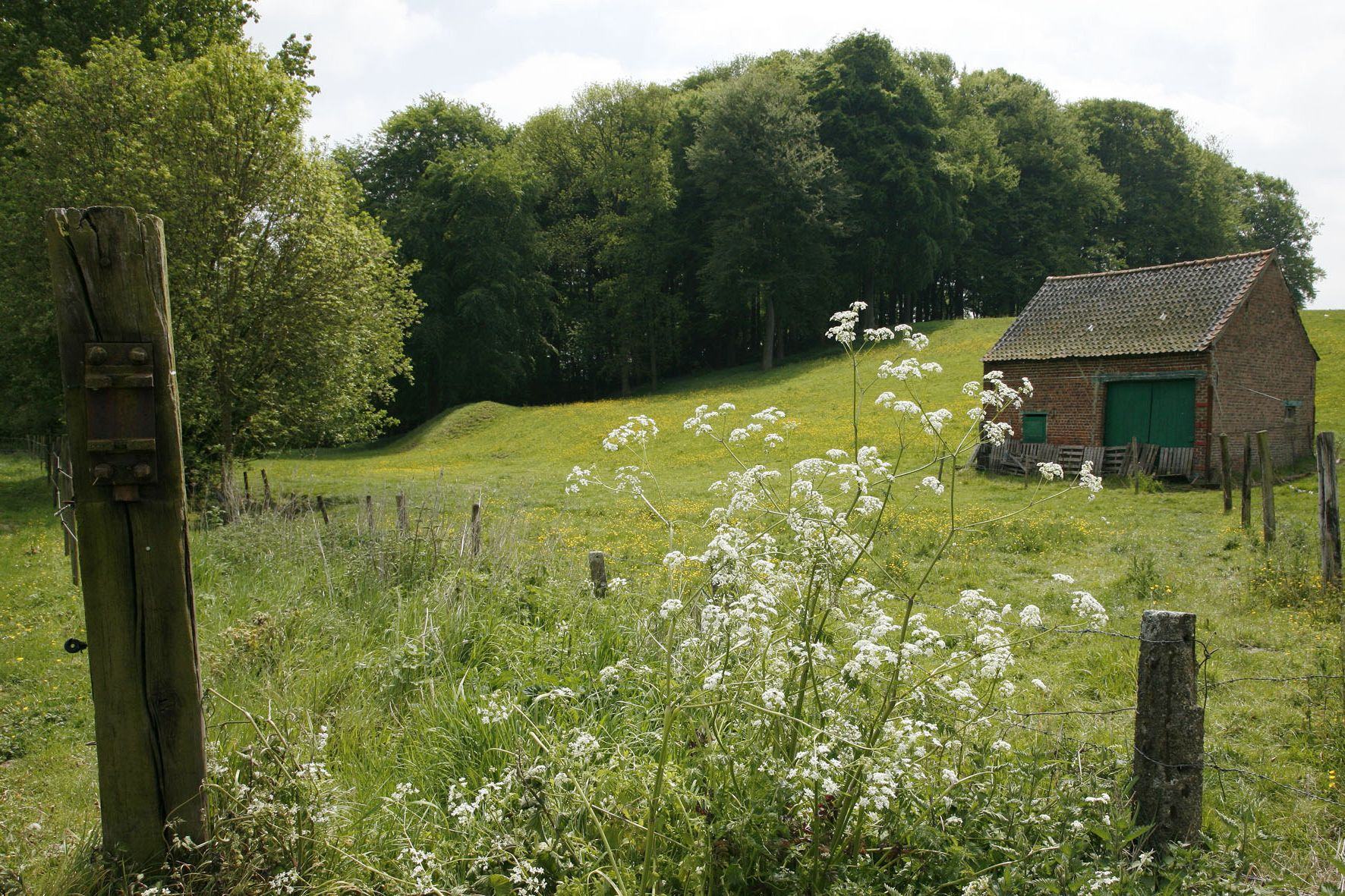 Boerenlandschap Pajottenland krijgt vorm