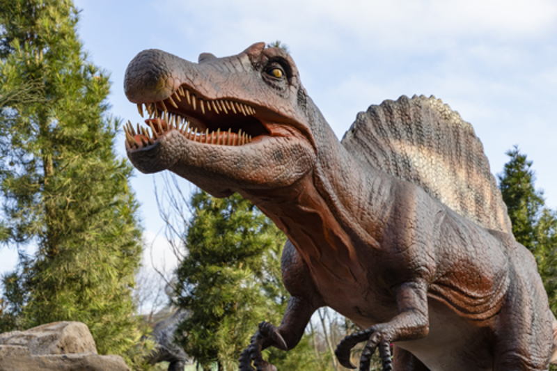 Pairi Daiza dévoile un monde préhistorique fascinant : Préhi Daiza, les ...