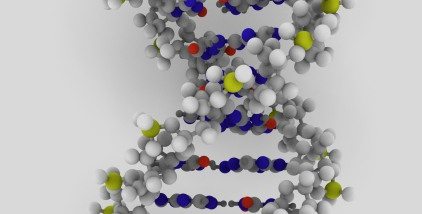 VUB onderzoekers ontwerpen medicijnen van de toekomst