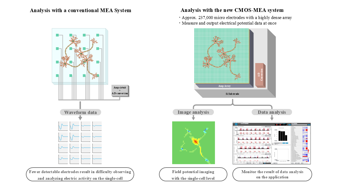 Sony, SCREEN und VitroVo starten Testangebot für ein MEA-System, das ...