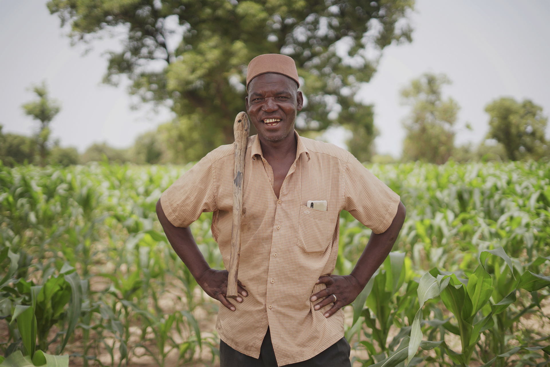 The International Crops Research Institute for the Semi-Arid Tropics