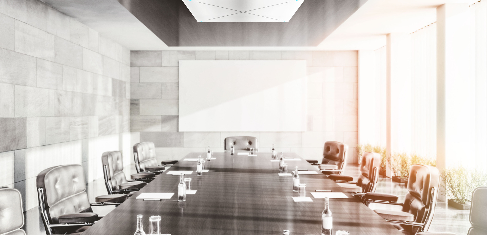 Shure Ceiling Microphones For Conference Rooms | Shelly Lighting
