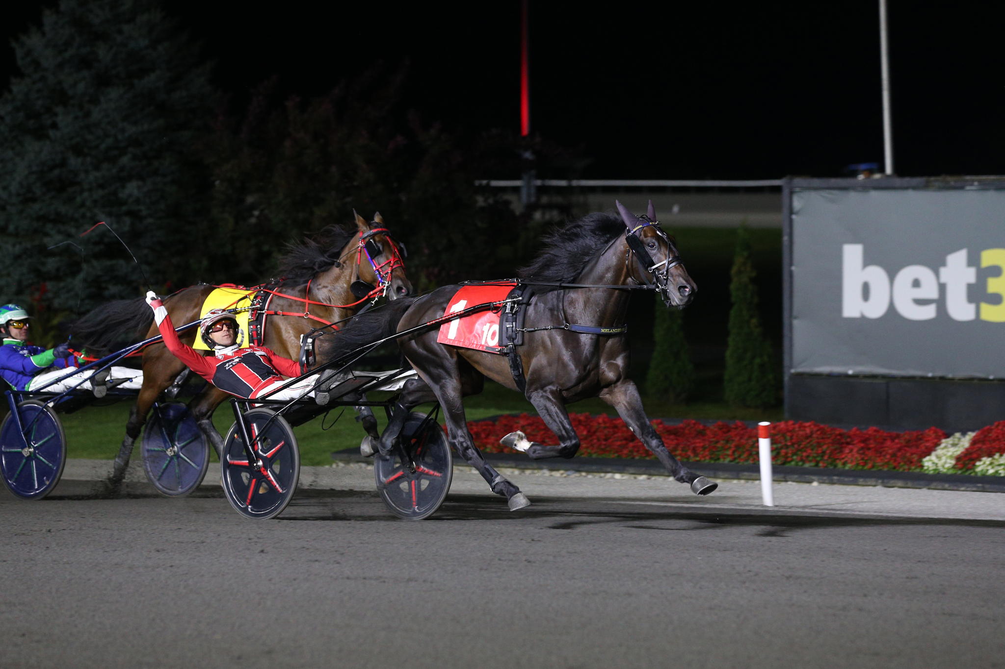 Melander aims for big Breeders Crown weekend