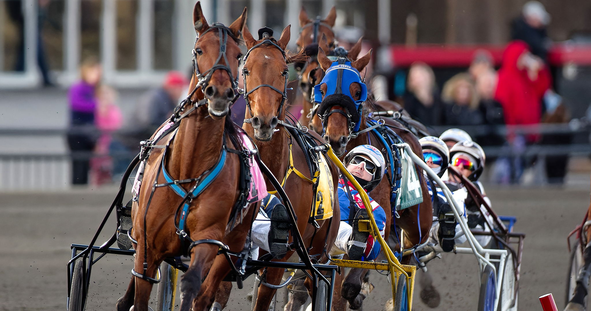 OLG's Horse Racing Post Pandemic Economic Impact Survey