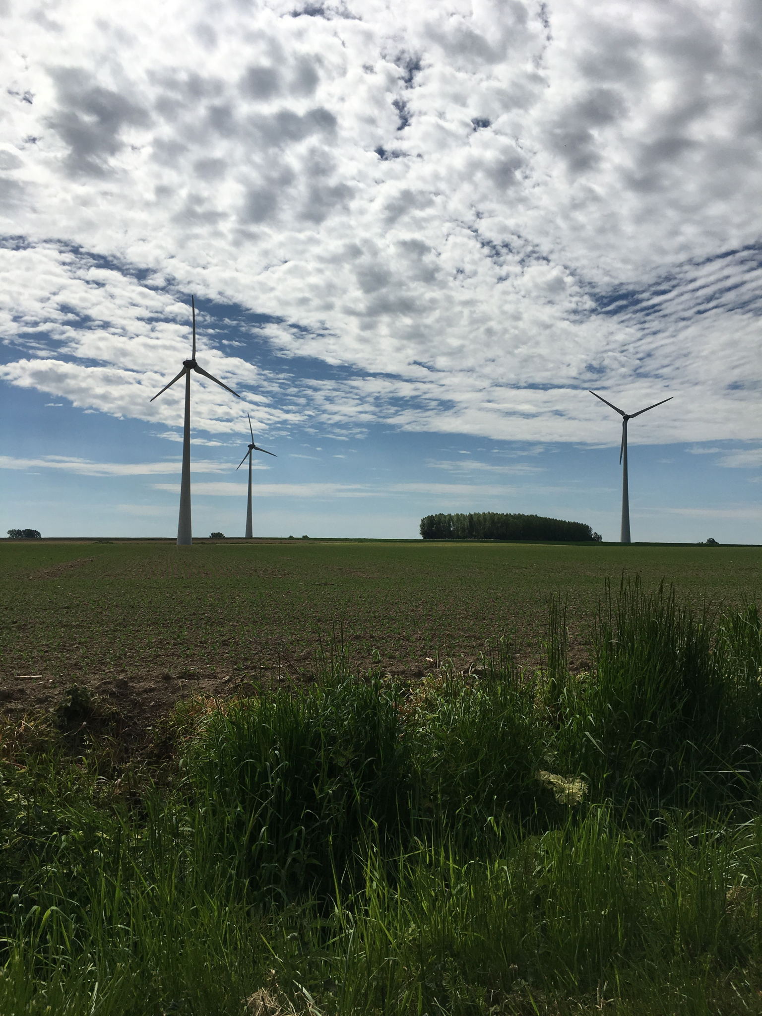 EDF Luminus fête le Wind Day à Tourpes-Thumaide - Invitation