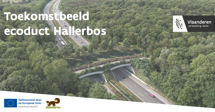 GROEN LICHT VOOR BOUW ECODUCT HALLERBOS
