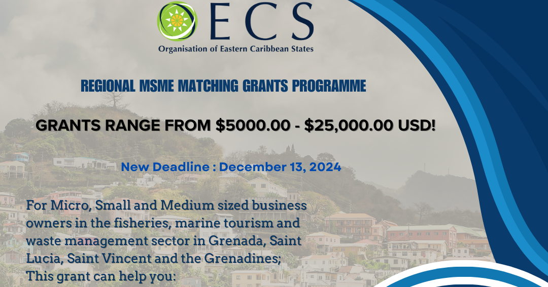 Deadline Extended for the Regional MSME Matching Grants Programme – New ...