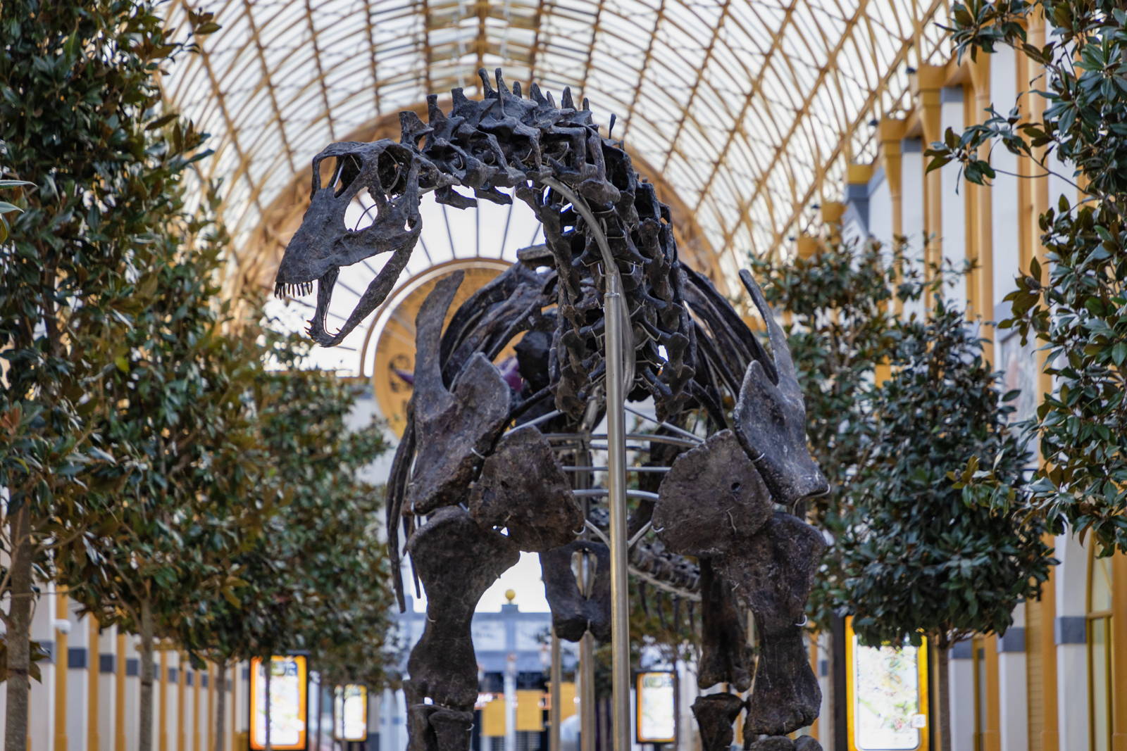 Pairi Daiza dévoile un monde préhistorique fascinant : Préhi Daiza, les ...