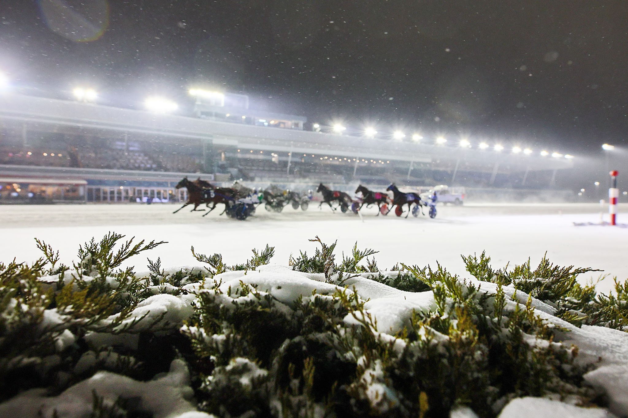 Holiday racing and draw schedule for Woodbine Mohawk Park