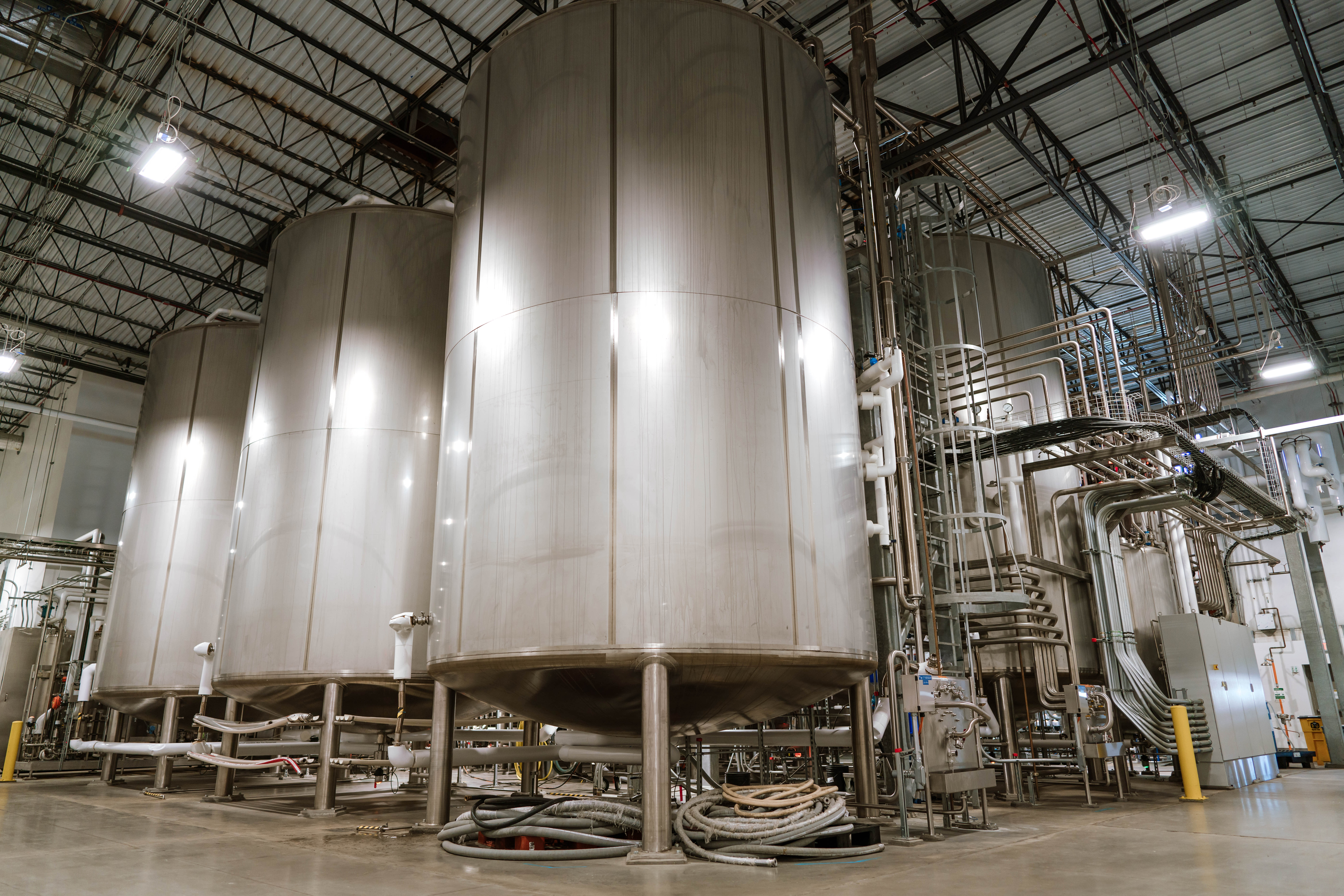 MycoTechnology Launches Fermentation as a Service, Unlocking Scalable ...