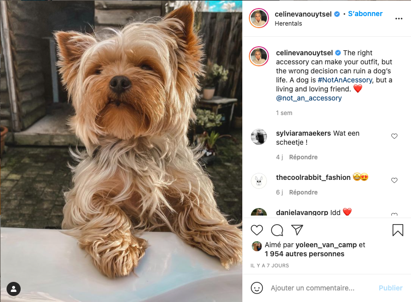 Virginie Morobé, Céline Van Ouytsel, An Lemmens en Inge Onsea maken ...