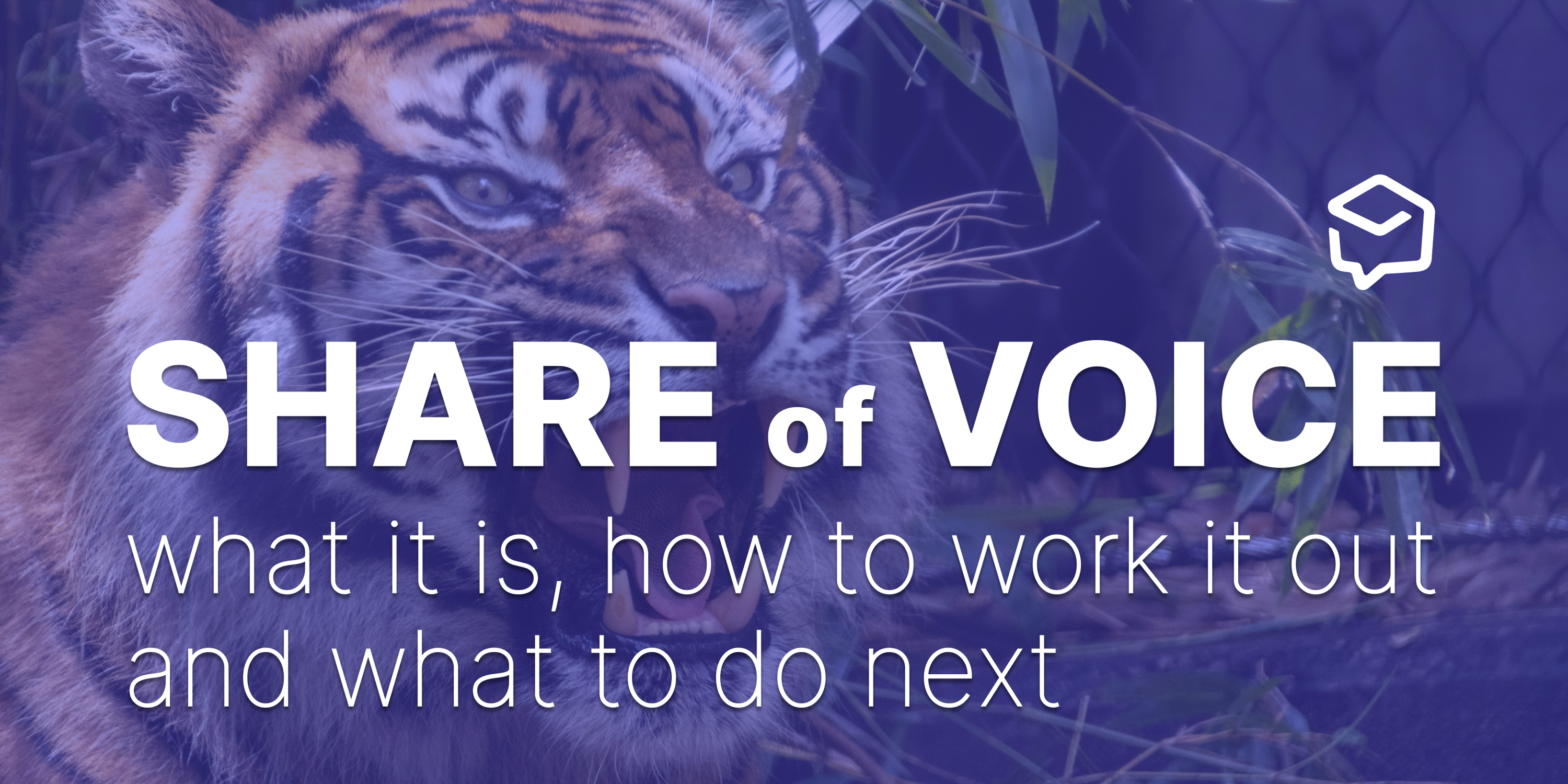 Calculate Share of Voice: How to & Use Cases | PR Academy