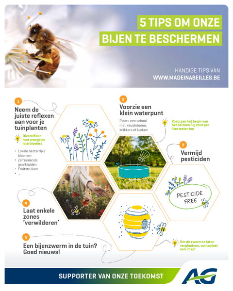 5 tips om onze bijen te beschermen