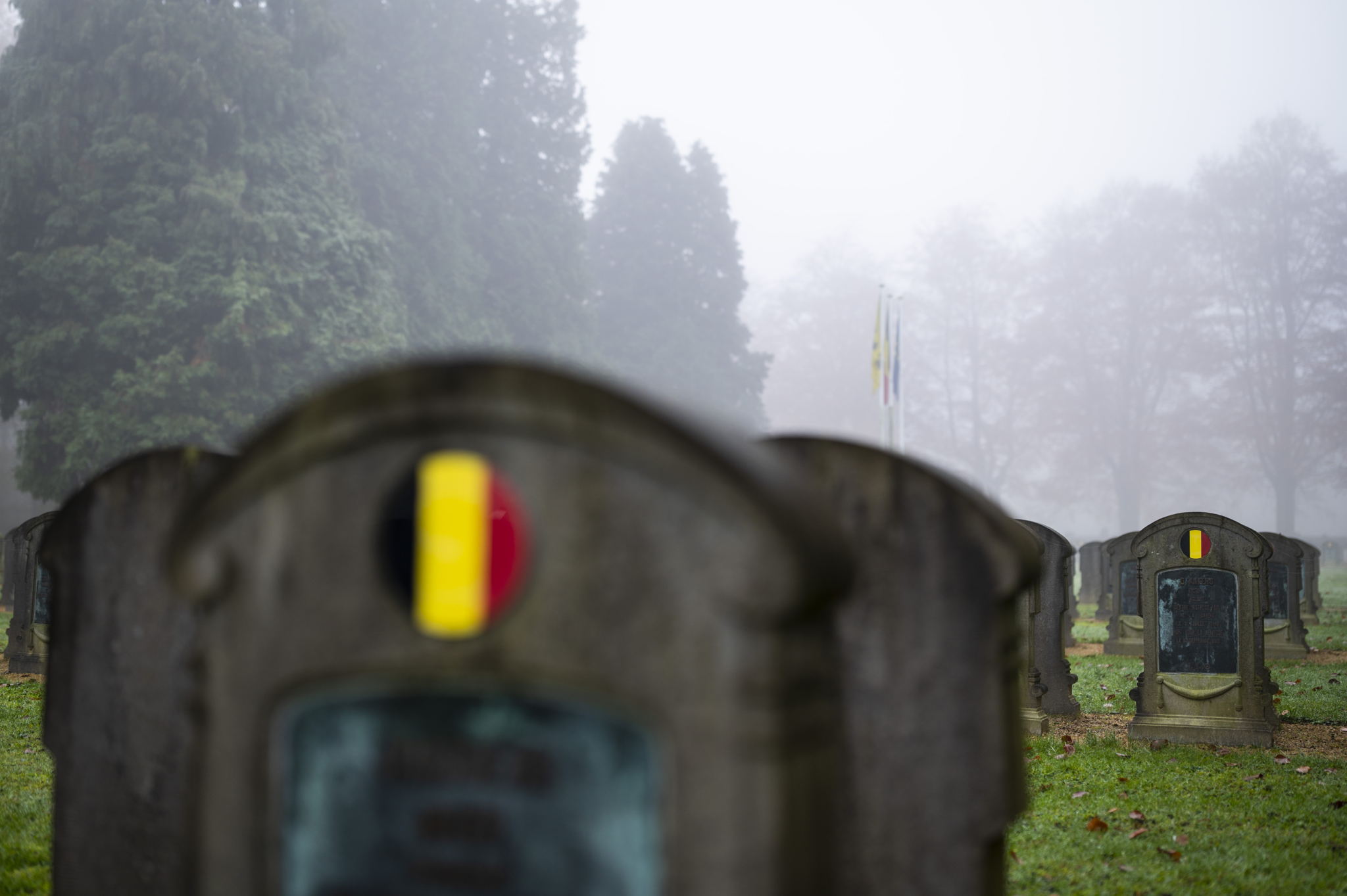 Donating body to science after death gets easier in Flanders