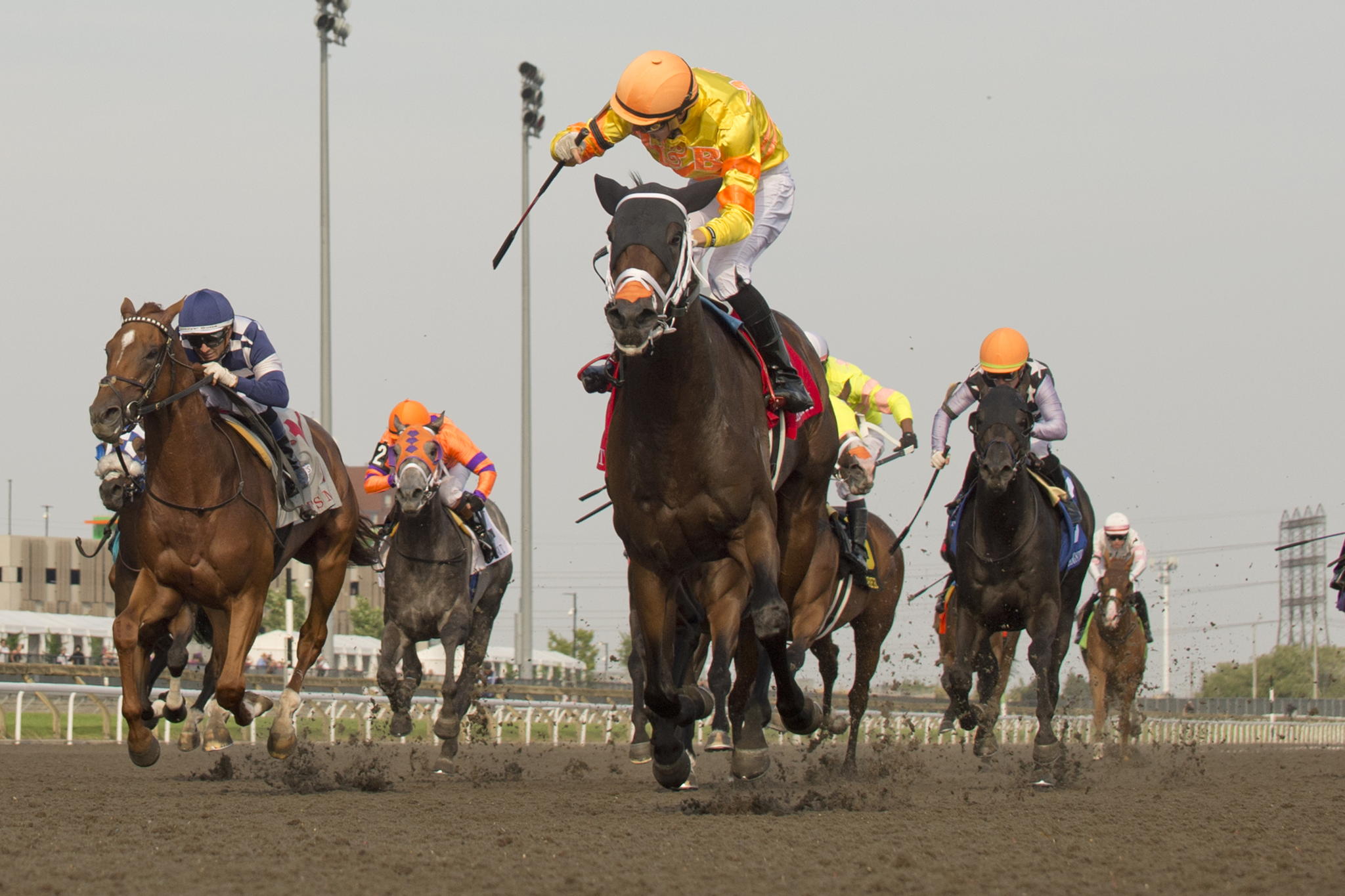 Mansetti magnificent in King’s Plate