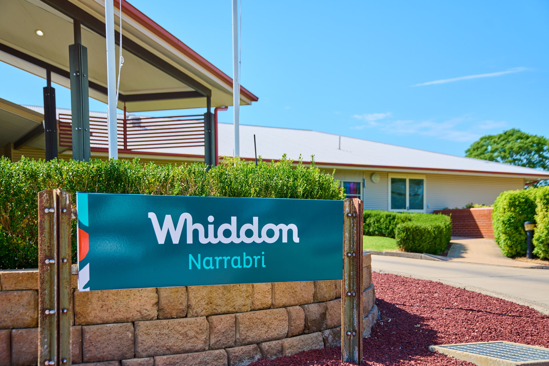 Whiddon