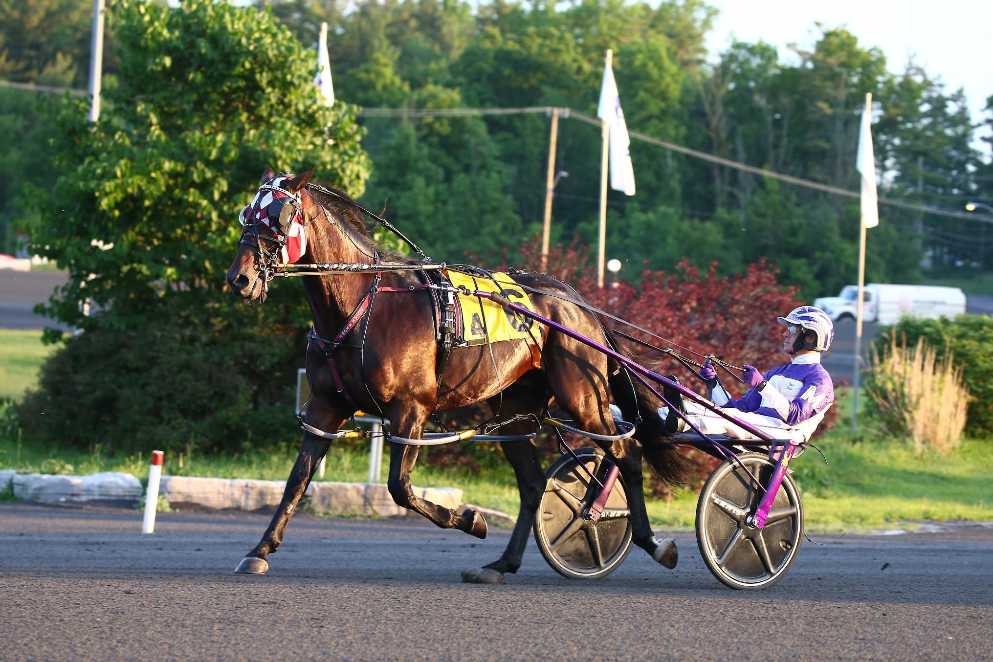 Brown’s dynamic Cup duo ready to roll