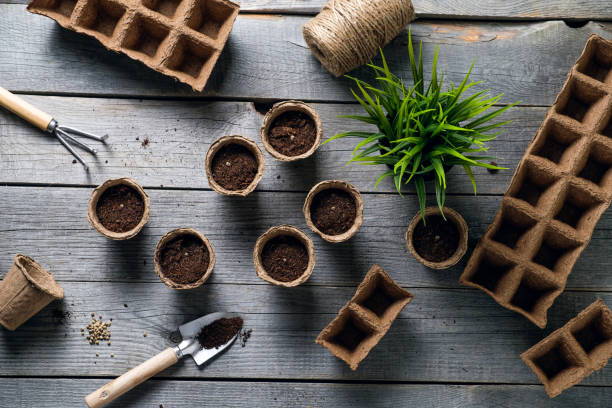 Seeds of Opportunity: The African Growth Series