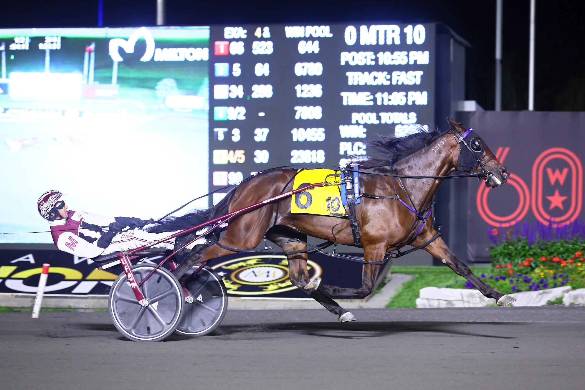 Amazing ‘Grace’: Grace Hill thrills in Milton Stakes masterpiece