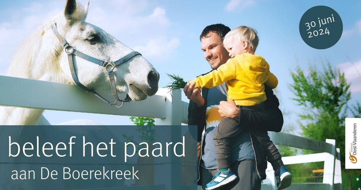 Beleef het paard aan De Boerekreek