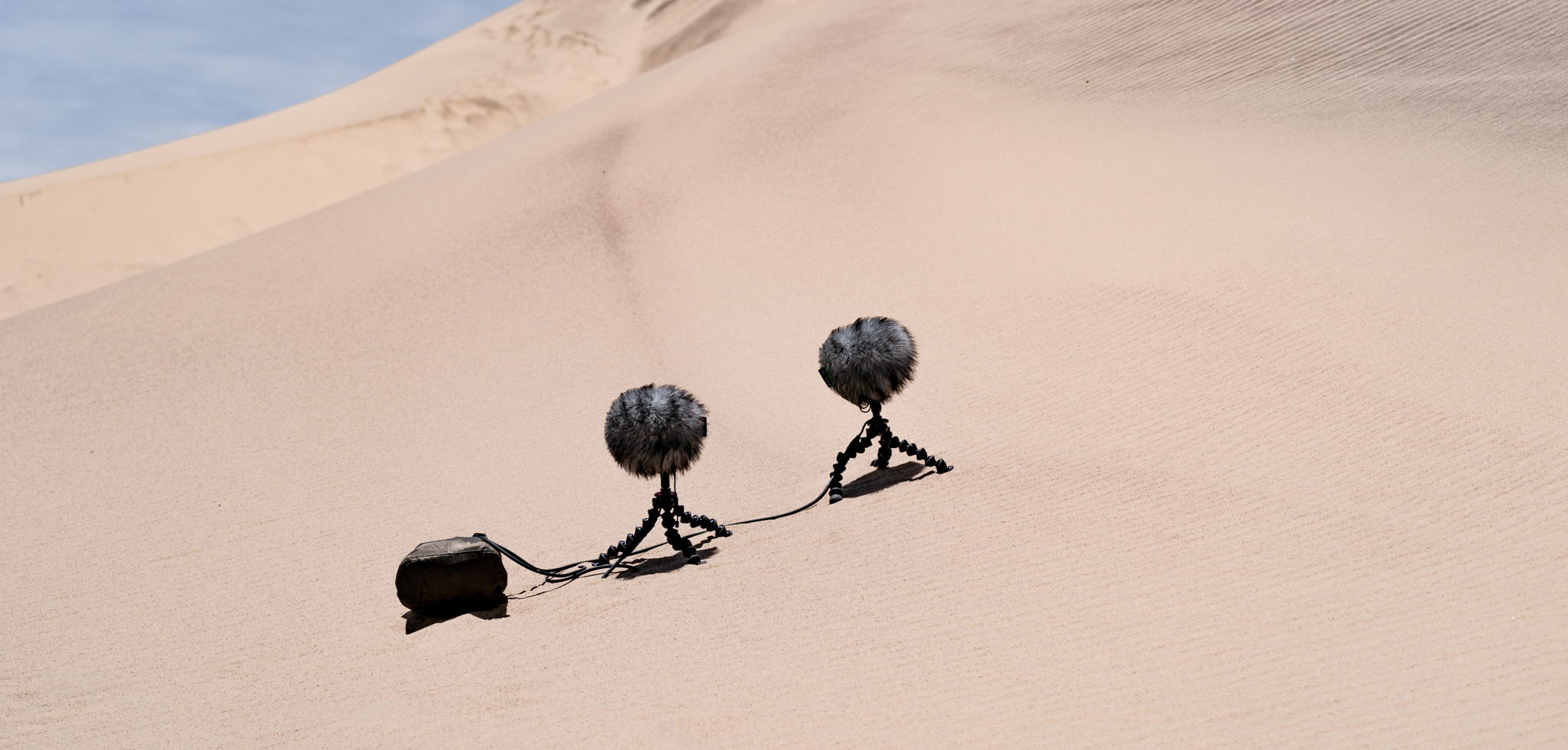 Sennheiser previews MKH 8030 figure-of-eight RF condenser microphone