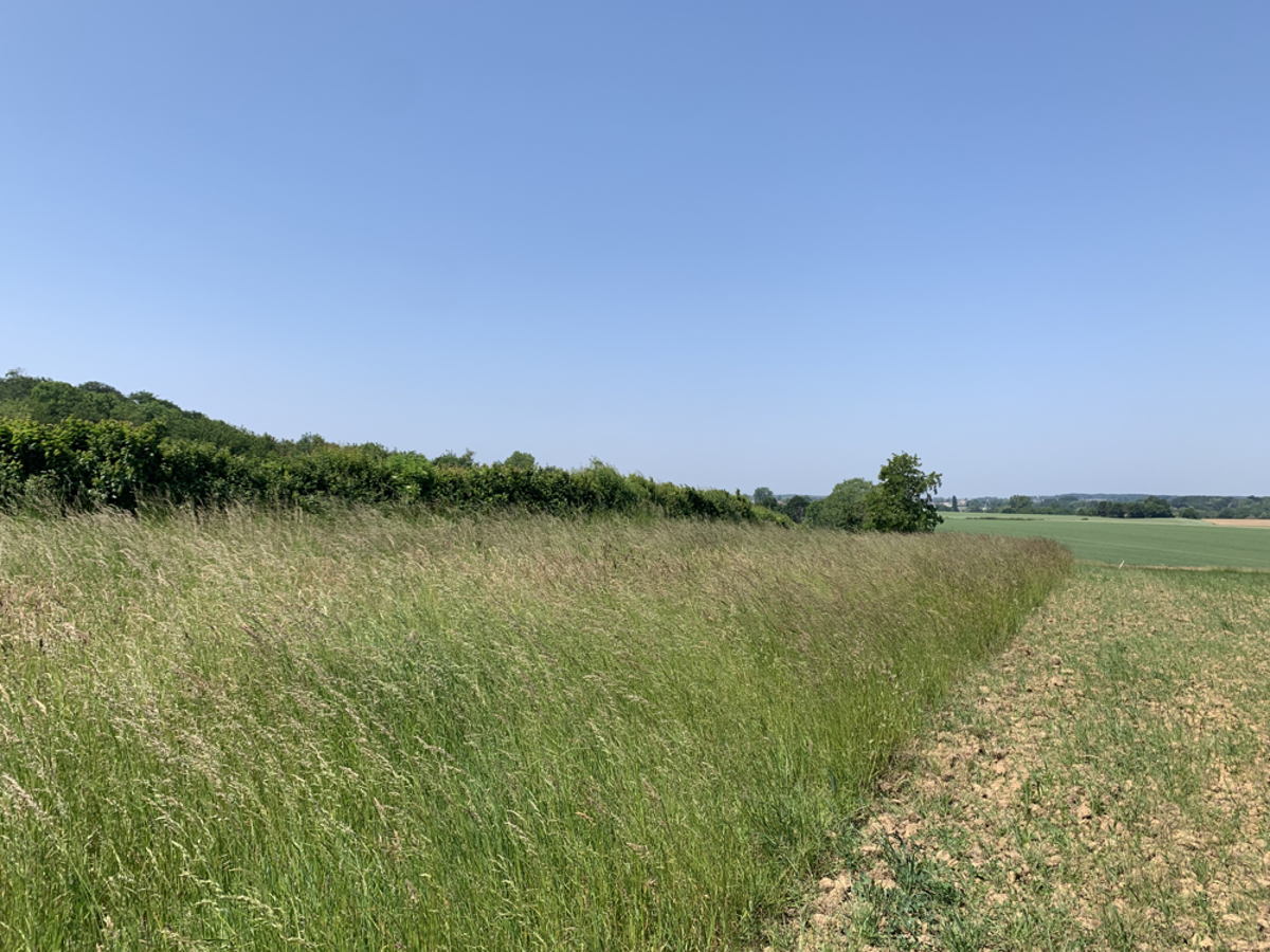 Landbouwer John Van Elsen beheert bijna 30 hectare leefgebied voor ...