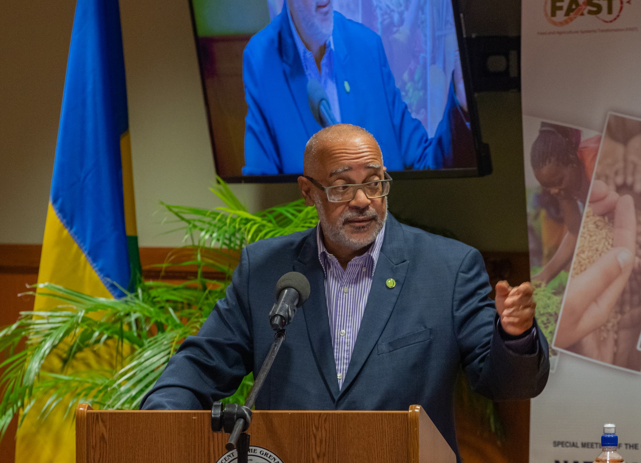 Advancing the Implementation of the OECS Food and Agriculture Systems ...