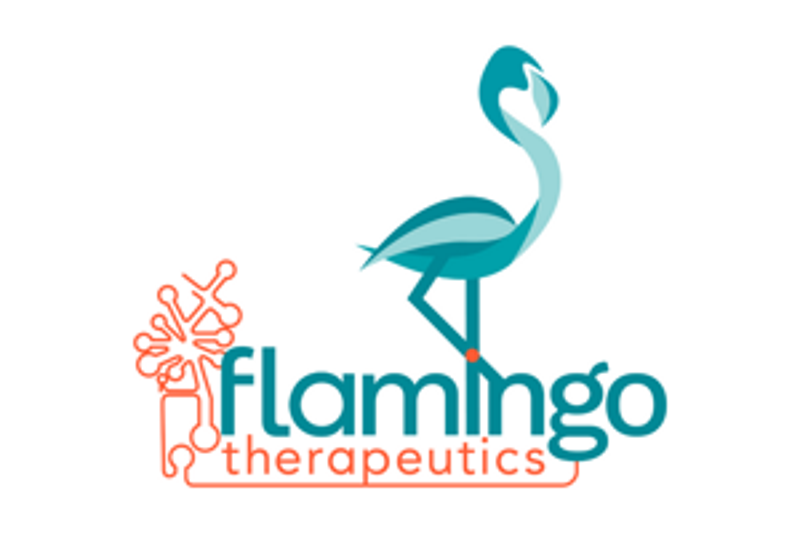 VIB spin-off Flamingo Therapeutics merges with Dynacure to create ...
