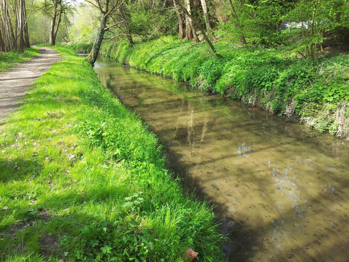 Een kronkelende rivier betekent meer natuur en plezier