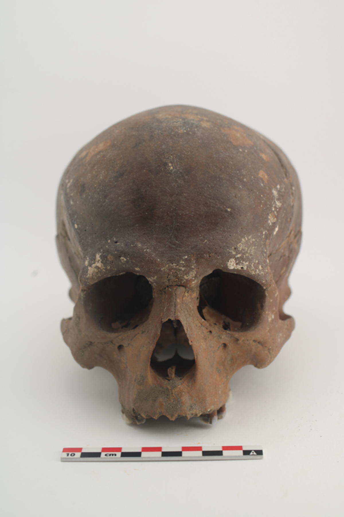 Vernieuwde Erfgoedsite Ename pakt uit met indrukwekkende archeologische ...