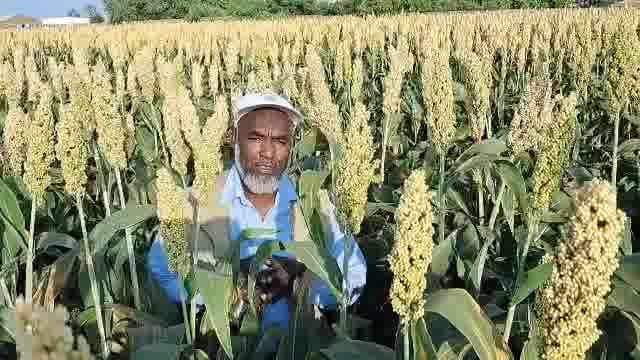 The International Crops Research Institute for the Semi-Arid Tropics