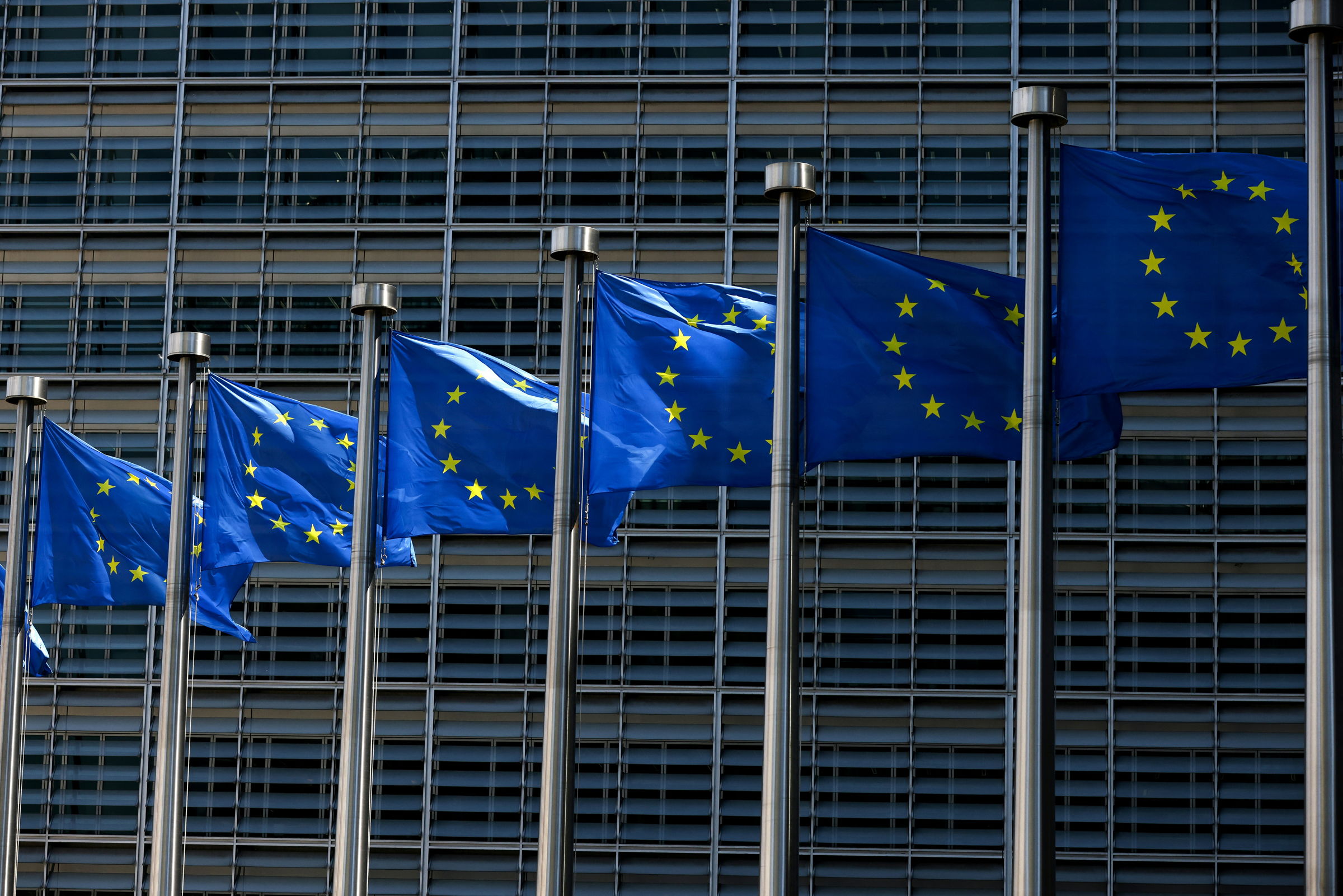 European Commission appoints Belgian as head of Directorate-General for ...