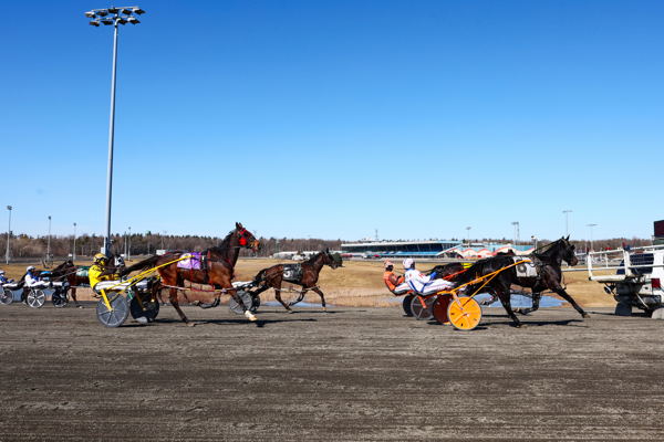 Mohawk Monday Entry Box Stays Open