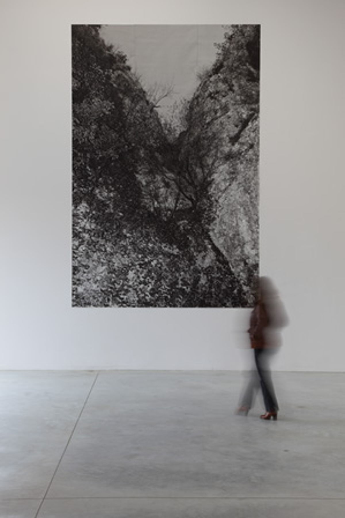 Dirk Braeckman creates new work for the Belgian Pavilion