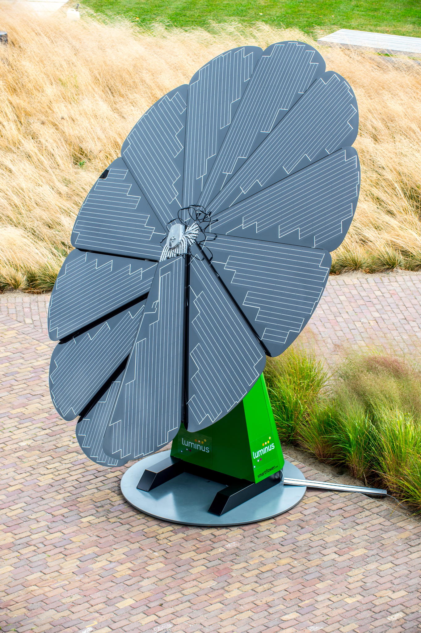 À l’occasion du bicentenaire de l’Université de Liège, Luminus plante ...