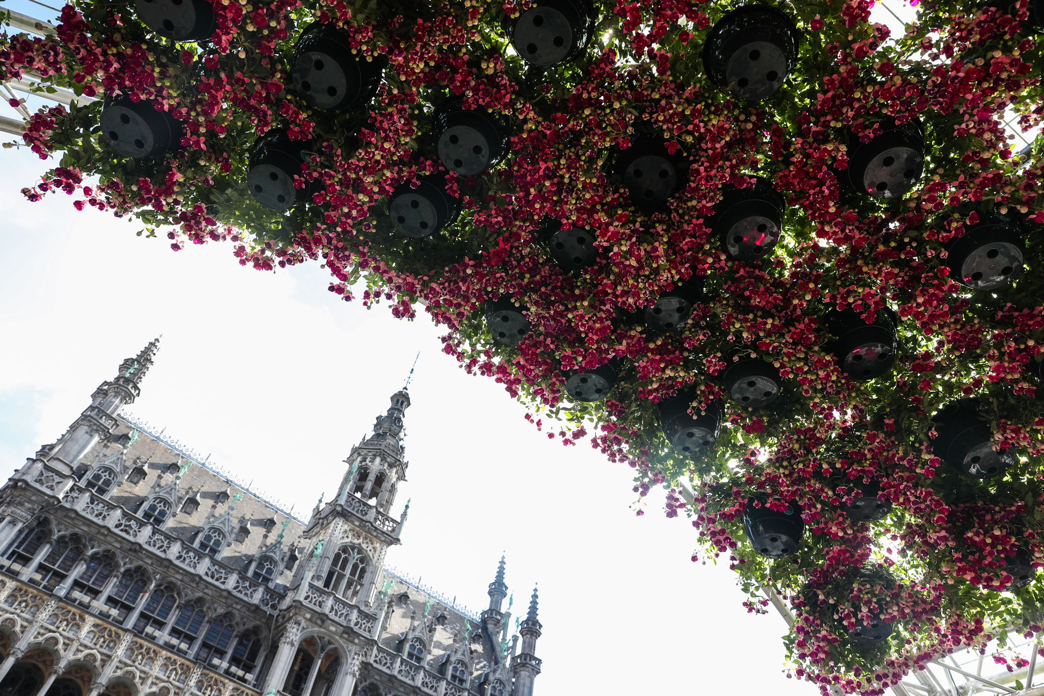 Belgian surrealism at heart of fifth edition of Flowertime in Brussels