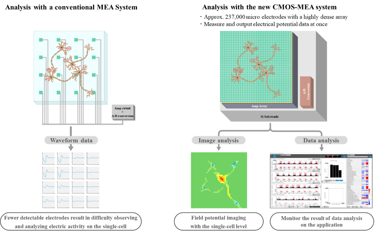 Sony, SCREEN and VitroVo to Start Trial Offer of MEA System Capable of Simultaneous Measuring ...