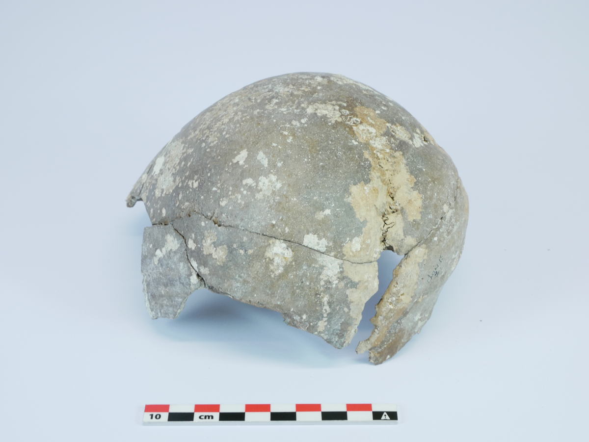 Vernieuwde Erfgoedsite Ename pakt uit met indrukwekkende archeologische ...